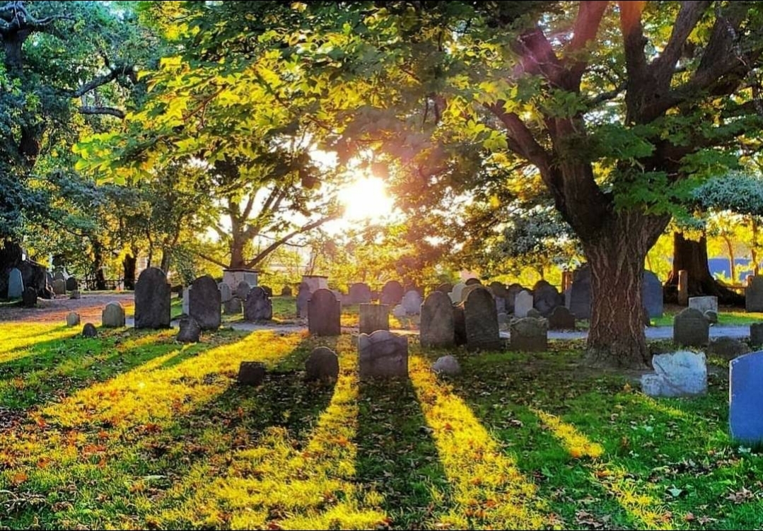 We Asked Both Cemetery Professionals and Enthusiasts, Why is Graveyard ...